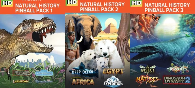 The Pinball Chick – The Pinball Adventures of Indie Gamer Chick & Family