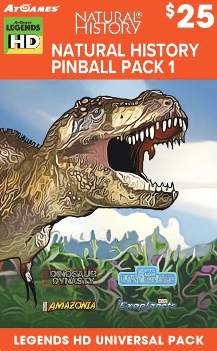 The Pinball Chick – The Pinball Adventures of Indie Gamer Chick & Family